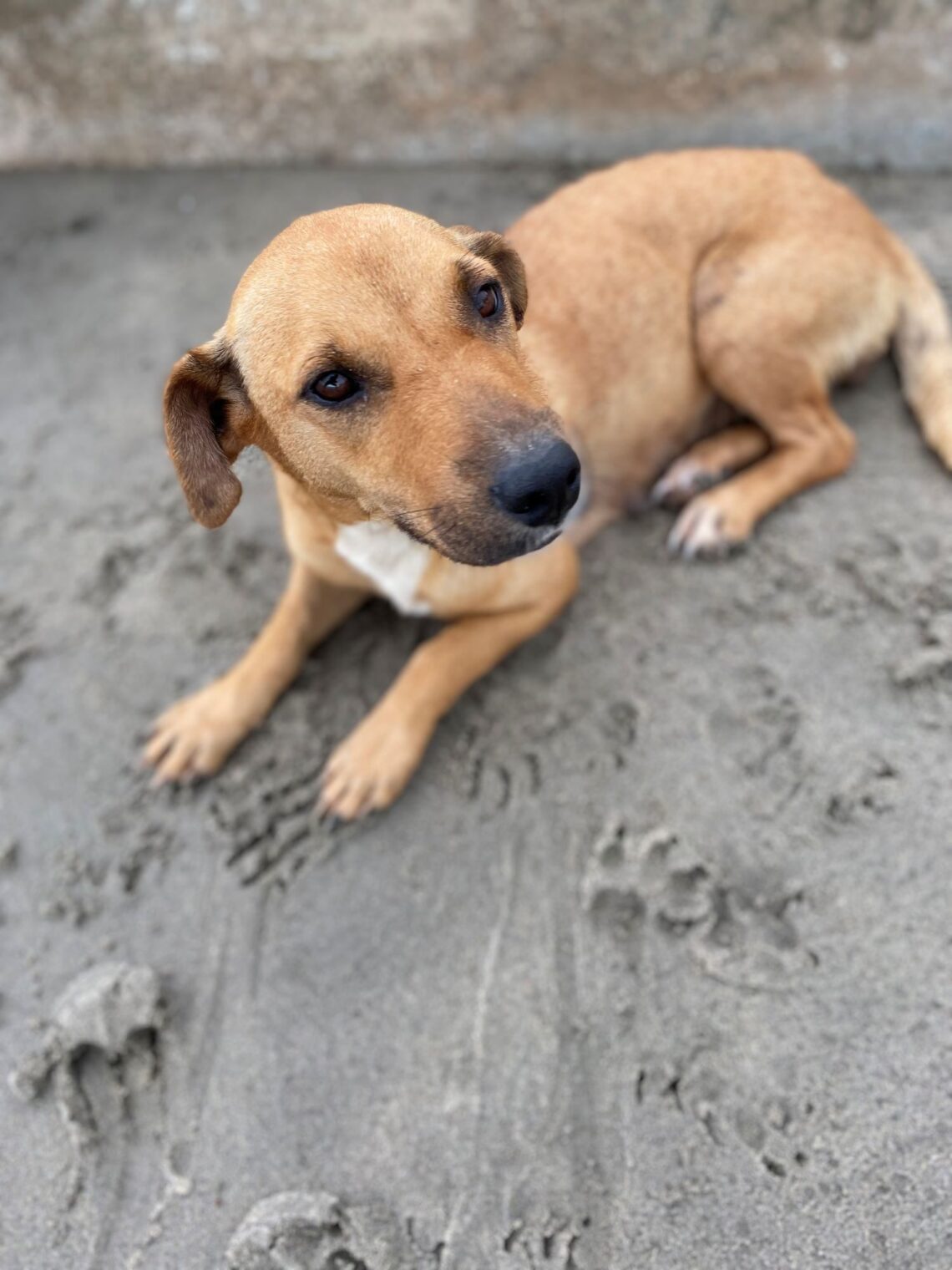 Visiting Trinidad And Tobago, My Homeland | Hope Above All