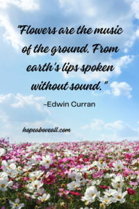 60 Insanely Beautiful Spring Quotes | Hope Above All